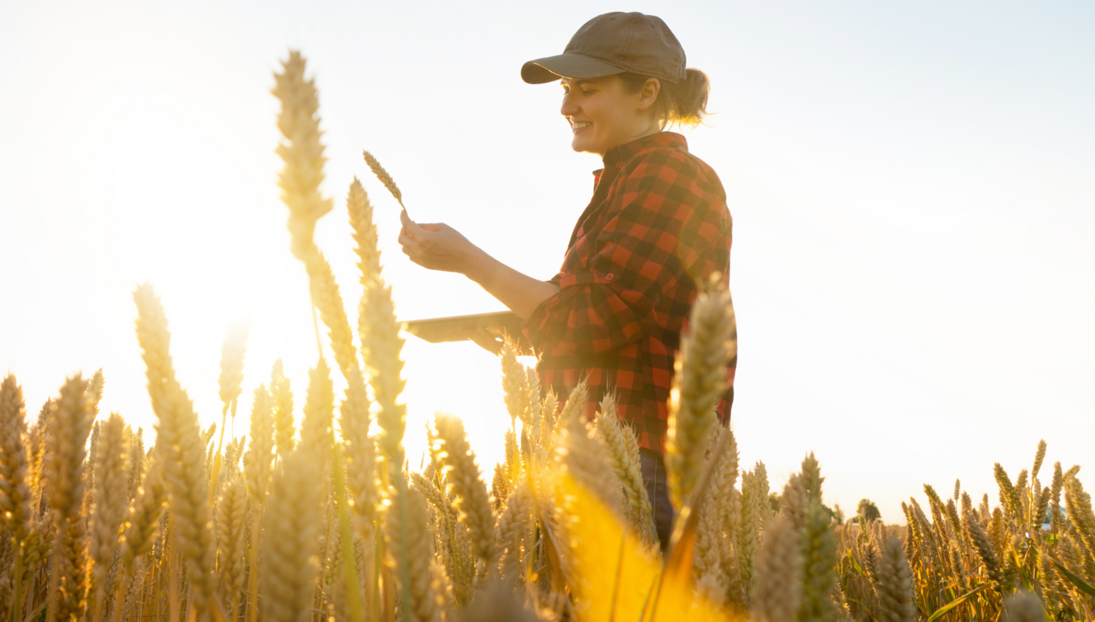 How to Stay Safe Under the Sun – ProcessWorx | HR & WHS